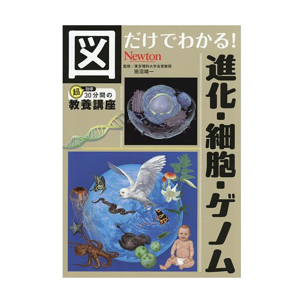※商品画像はイメージや仮デザインが含まれている場合があります。帯の有無など実際と異なる場合があります。監修:田沼靖一出版社:ニュートンプレス発売日:2026年08月シリーズ名等:超効率３０分間の教養講座 １４キーワード:図だけでわかる！進化...
