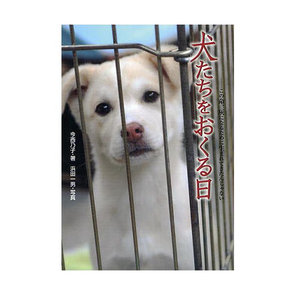 著:今西乃子　写真:浜田一男出版社:金の星社発売日:2009年07月シリーズ名等:ノンフィクション知られざる世界キーワード:犬たちをおくる日この命、灰になるために生まれてきたんじゃない今西乃子浜田一男 プレゼント ギフト 誕生日 子供 クリ...