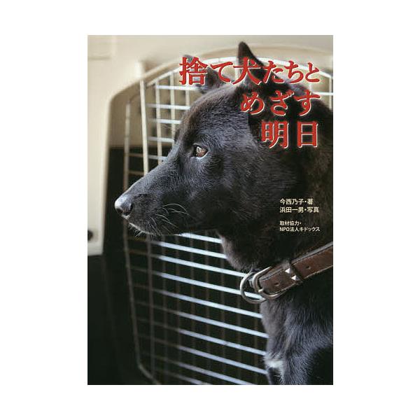 著:今西乃子　写真:浜田一男出版社:金の星社発売日:2016年09月シリーズ名等:ノンフィクション知られざる世界キーワード:捨て犬たちとめざす明日今西乃子浜田一男 プレゼント ギフト 誕生日 子供 クリスマス 子ども こども すていぬたちと...