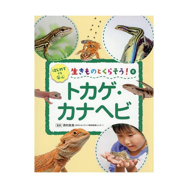 ※商品画像はイメージや仮デザインが含まれている場合があります。帯の有無など実際と異なる場合があります。出版社:国土社発売日:2025年11月巻数:8巻キーワード:生きものとくらそう！８ プレゼント ギフト 誕生日 子供 クリスマス 子ども ...
