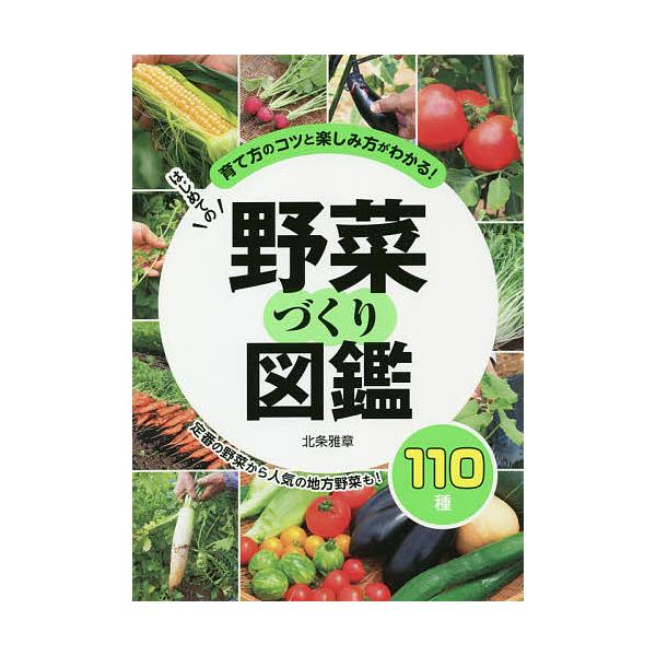 ※商品画像はイメージや仮デザインが含まれている場合があります。帯の有無など実際と異なる場合があります。著:北条雅章出版社:新星出版社発売日:2020年04月キーワード:はじめての野菜づくり図鑑１１０種育て方のコツと楽しみ方がわかる！北条雅章...