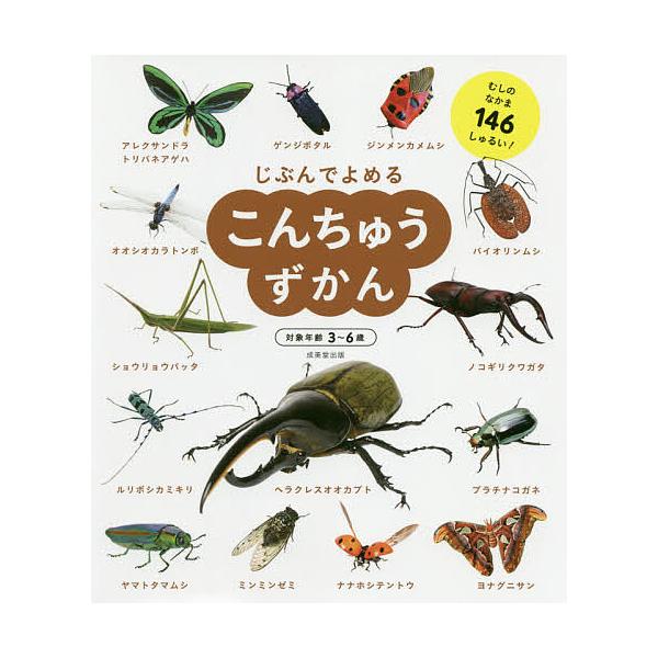 編著:成美堂出版編集部出版社:成美堂出版発売日:2020年07月キーワード:じぶんでよめるこんちゅうずかん対象年齢３〜６歳むしのなかま１４６しゅるい！成美堂出版編集部 じぶんでよめるこんちゆうずかんこんちゆうずかん ジブンデヨメルコンチユウ...