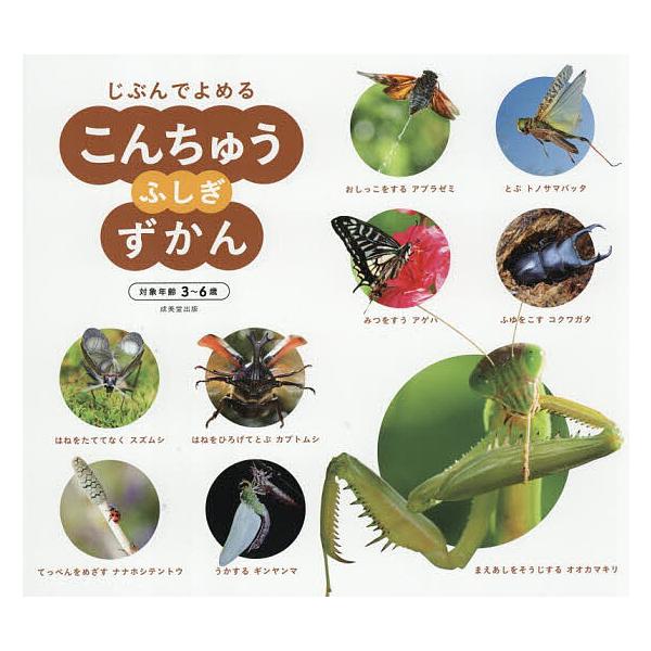 ※商品画像はイメージや仮デザインが含まれている場合があります。帯の有無など実際と異なる場合があります。編著:成美堂出版編集部出版社:成美堂出版発売日:2026年09月キーワード:じぶんでよめるこんちゅうふしぎずかん成美堂出版編集部 じぶんで...