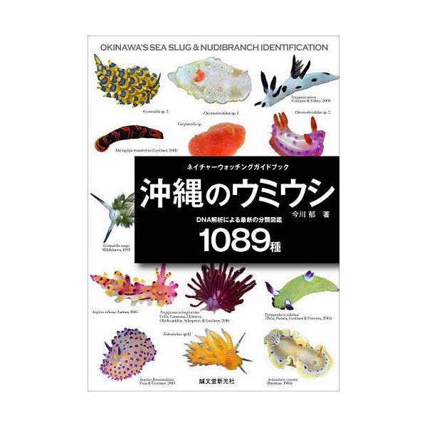 ※商品画像はイメージや仮デザインが含まれている場合があります。帯の有無など実際と異なる場合があります。著:今川郁出版社:誠文堂新光社発売日:2026年07月シリーズ名等:ネイチャーウォッチングガイドブックキーワード:沖縄のウミウシDNA解析...