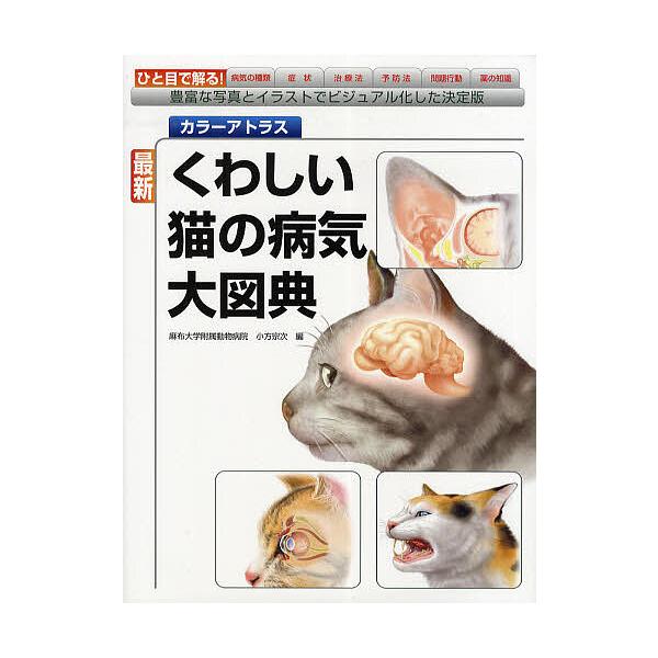 ※商品画像はイメージや仮デザインが含まれている場合があります。帯の有無など実際と異なる場合があります。編:小方宗次出版社:誠文堂新光社発売日:2009年11月キーワード:最新くわしい猫の病気大図典カラーアトラス豊富な写真とイラストでビジュア...