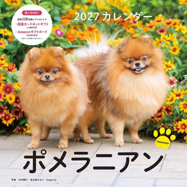 【発売日：2026年09月25日】※商品画像はイメージや仮デザインが含まれている場合があります。帯の有無など実際と異なる場合があります。写真:中村陽子・長谷部かおり出版社:誠文堂新光社発売日:2026年09月25日シリーズ名等:誠文堂新光社...