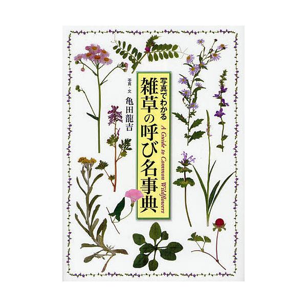 写真:亀田龍吉出版社:世界文化社発売日:2012年02月キーワード:雑草の呼び名事典写真でわかる亀田龍吉 ざつそうのよびなじてんしやしんでわかる ザツソウノヨビナジテンシヤシンデワカル かめだ りゆうきち カメダ リユウキチ