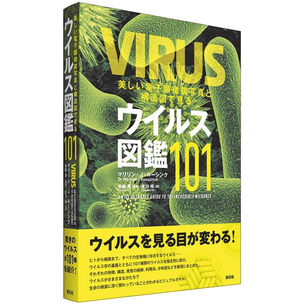 ※商品画像はイメージや仮デザインが含まれている場合があります。帯の有無など実際と異なる場合があります。著:マリリン・J・ルーシンク　監修:布施晃　訳:北川玲出版社:創元社発売日:2018年02月キーワード:美しい電子顕微鏡写真と構造図で見る...