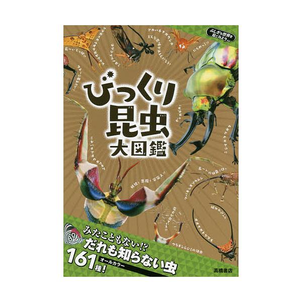 ※商品画像はイメージや仮デザインが含まれている場合があります。帯の有無など実際と異なる場合があります。監修:須田研司出版社:高橋書店発売日:2016年04月シリーズ名等:ふしぎな世界を見てみようキーワード:びっくり昆虫大図鑑須田研司 びつく...