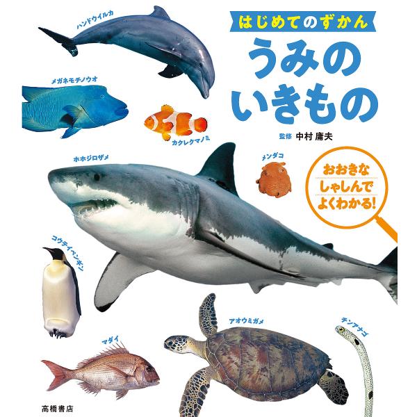 ※商品画像はイメージや仮デザインが含まれている場合があります。帯の有無など実際と異なる場合があります。監修:中村庸夫出版社:高橋書店発売日:2022年05月シリーズ名等:はじめてのずかんキーワード:うみのいきものおおきなしゃしんでよくわかる...