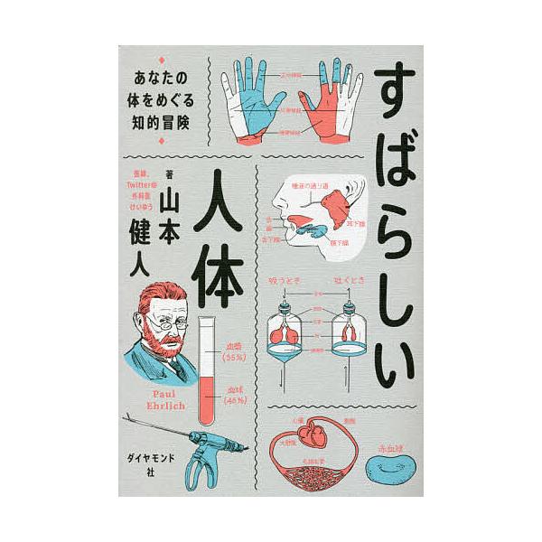 ※商品画像はイメージや仮デザインが含まれている場合があります。帯の有無など実際と異なる場合があります。著:山本健人出版社:ダイヤモンド社発売日:2021年08月キーワード:すばらしい人体あなたの体をめぐる知的冒険山本健人 すばらしいじんたい...