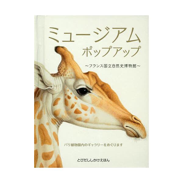※商品画像はイメージや仮デザインが含まれている場合があります。帯の有無など実際と異なる場合があります。文:アンヌ＝フロランス・ルマソン　絵:ドミニク・エルハルト　訳:瀧下哉代出版社:大日本絵画発売日:2020年シリーズ名等:とびだししかけえ...