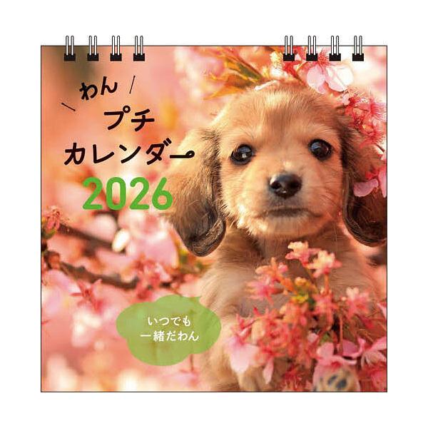 出版社:永岡書店発売日:2025年09月シリーズ名等:２０２６年版キーワード:S１わんプチカレンダー Ｓ１わんぷちかれんだー２０２６ Ｓ１ワンプチカレンダー２０２６ もりたよねお モリタヨネオ