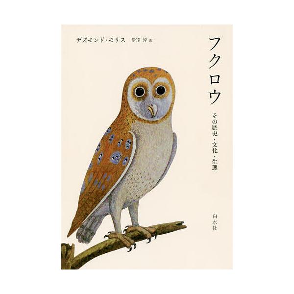 著:デズモンド・モリス　訳:伊達淳出版社:白水社発売日:2019年03月キーワード:フクロウその歴史・文化・生態新装版デズモンド・モリス伊達淳 ふくろうそのれきしぶんかせいたい フクロウソノレキシブンカセイタイ もりす でずもんど ＭＯＲＲ...