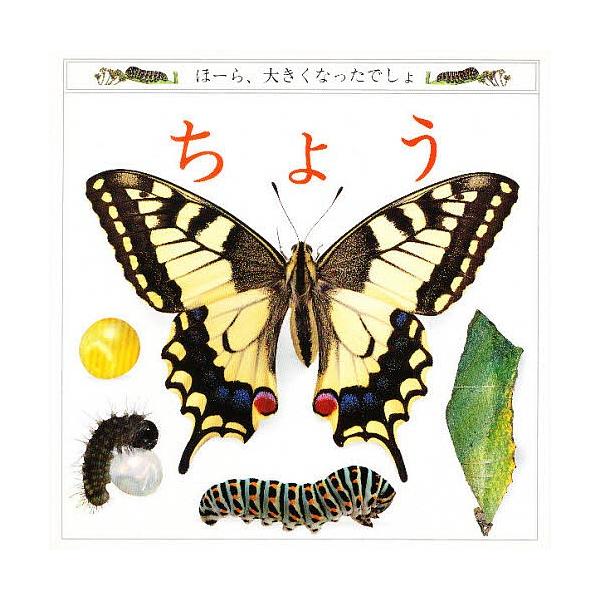 著:メアリー・リング　写真:キム・テイラー　訳:山口文生出版社:評論社発売日:1994年03月シリーズ名等:児童図書館・絵本の部屋 ほーら、大きくなったでしょ ９キーワード:ちょうメアリー・リングキム・テイラー山口文生 ちようじどうとしよか...