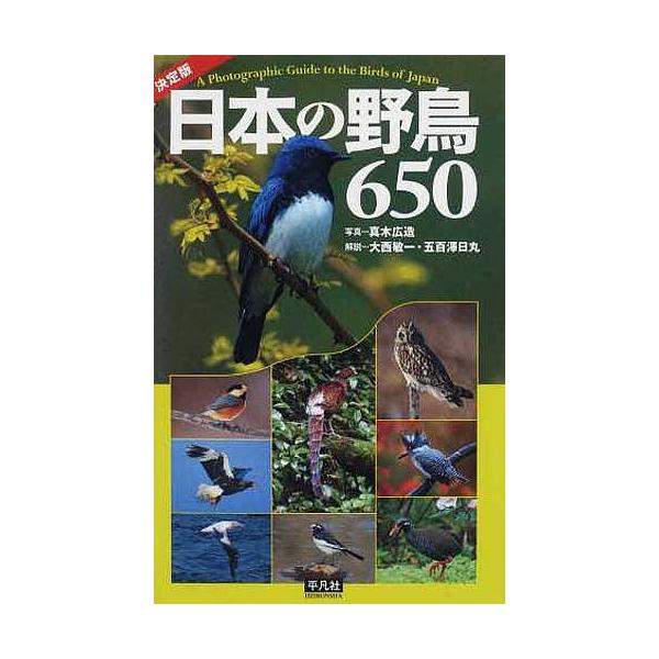 写真:真木広造　解説:大西敏一　解説:五百澤日丸出版社:平凡社発売日:2014年01月キーワード:日本の野鳥６５０平凡社創業１００周年記念出版真木広造大西敏一五百澤日丸 にほんのやちようろつぴやくごじゆうにほんのやちよう ニホンノヤチヨウロ...