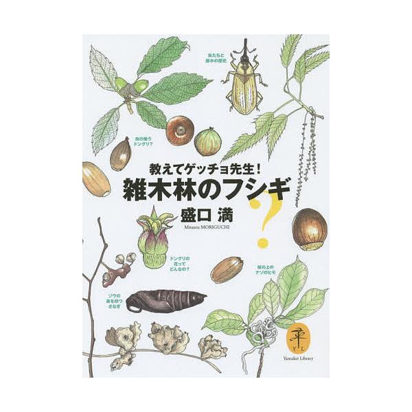 著:盛口満出版社:山と溪谷社発売日:2016年02月シリーズ名等:ヤマケイ文庫キーワード:教えてゲッチョ先生！雑木林のフシギ盛口満 おしえてげつちよせんせいぞうきばやしのふしぎおしえ オシエテゲツチヨセンセイゾウキバヤシノフシギオシエ もり...