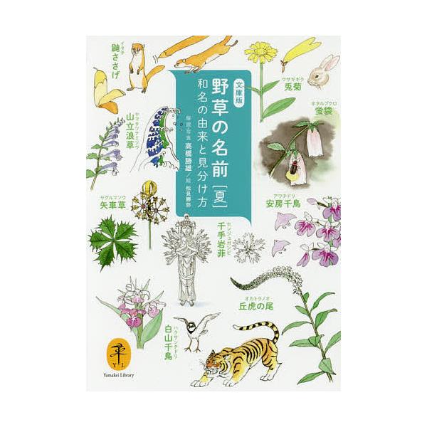 ※商品画像はイメージや仮デザインが含まれている場合があります。帯の有無など実際と異なる場合があります。解説:高橋勝雄　絵:・写真松見勝弥出版社:山と溪谷社発売日:2017年06月シリーズ名等:ヤマケイ文庫キーワード:野草の名前和名の由来と見...