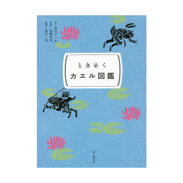 ※商品画像はイメージや仮デザインが含まれている場合があります。帯の有無など実際と異なる場合があります。文:高山ビッキ　写真:松橋利光　監修:桑原一司出版社:山と溪谷社発売日:2021年07月シリーズ名等:ときめく図鑑Pokke！キーワード:...