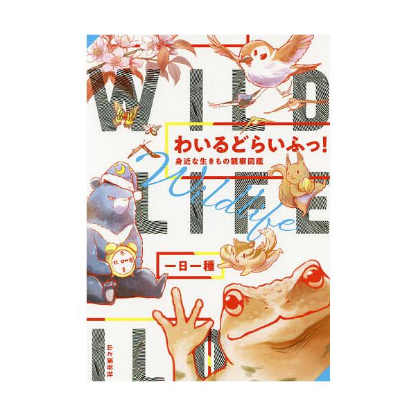 ※商品画像はイメージや仮デザインが含まれている場合があります。帯の有無など実際と異なる場合があります。著:一日一種出版社:山と溪谷社発売日:2019年08月キーワード:わいるどらいふっ！身近な生きもの観察図鑑一日一種 わいるどらいふつみじか...