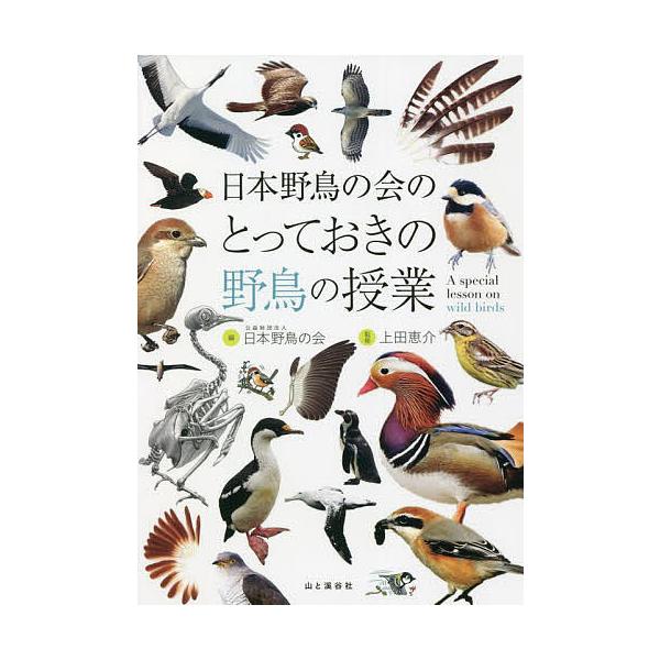 ※商品画像はイメージや仮デザインが含まれている場合があります。帯の有無など実際と異なる場合があります。編:日本野鳥の会　監修:上田恵介出版社:山と溪谷社発売日:2021年12月キーワード:日本野鳥の会のとっておきの野鳥の授業日本野鳥の会上田...