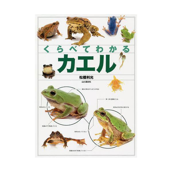 ※商品画像はイメージや仮デザインが含まれている場合があります。帯の有無など実際と異なる場合があります。著:松橋利光出版社:山と溪谷社発売日:2021年08月キーワード:くらべてわかるカエル識別ポイントで見分ける松橋利光 くらべてわかるかえる...