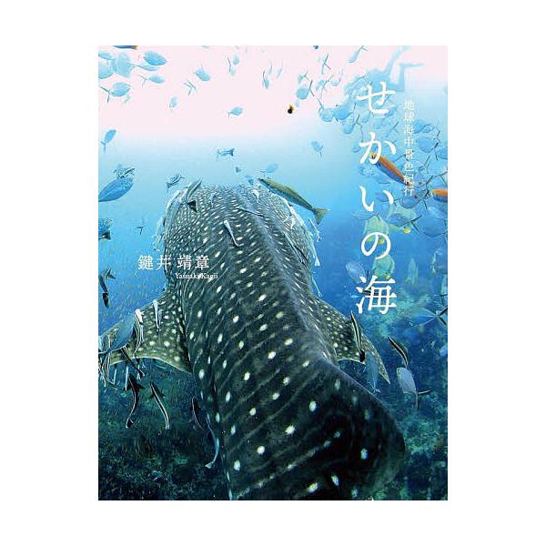 著:鍵井靖章出版社:山と溪谷社発売日:2024年08月キーワード:せかいの海地球海中景色紀行鍵井靖章 せかいのうみちきゆうかいちゆうけしききこう セカイノウミチキユウカイチユウケシキキコウ かぎい やすあき カギイ ヤスアキ