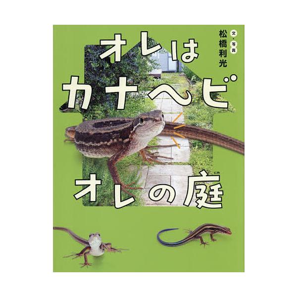 ※商品画像はイメージや仮デザインが含まれている場合があります。帯の有無など実際と異なる場合があります。文:松橋利光出版社:アリス館発売日:2026年04月キーワード:オレはカナヘビオレの庭松橋利光 えほん 絵本 プレゼント ギフト 誕生日 ...