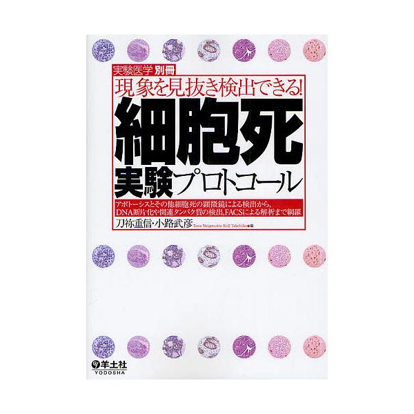 ※商品画像はイメージや仮デザインが含まれている場合があります。帯の有無など実際と異なる場合があります。編:刀祢重信　編:小路武彦出版社:羊土社発売日:2011年07月キーワード:現象を見抜き検出できる！細胞死実験プロトコールアポトーシスとそ...