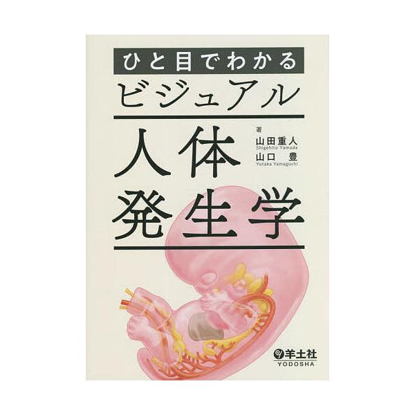 著:山田重人　著:山口豊出版社:羊土社発売日:2022年11月キーワード:ひと目でわかるビジュアル人体発生学山田重人山口豊 ひとめでわかるびじゆあるじんたいはつせいがく ヒトメデワカルビジユアルジンタイハツセイガク やまだ しげひと やまぐ...