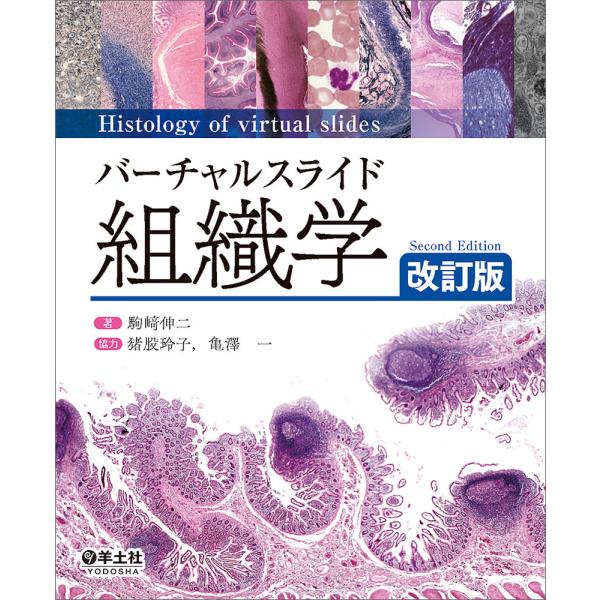 ※商品画像はイメージや仮デザインが含まれている場合があります。帯の有無など実際と異なる場合があります。著:駒崎伸二出版社:羊土社発売日:2025年02月キーワード:バーチャルスライド組織学駒崎伸二 ばーちやるすらいどそしきがく バーチヤルス...