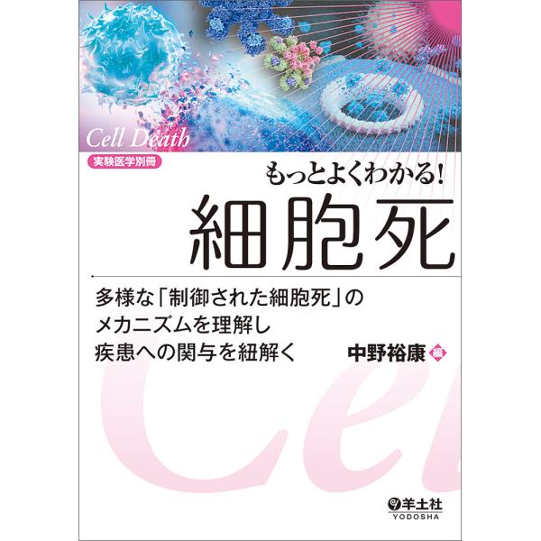 ※商品画像はイメージや仮デザインが含まれている場合があります。帯の有無など実際と異なる場合があります。編:中野裕康出版社:羊土社発売日:2024年12月キーワード:もっとよくわかる！細胞死多様な「制御された細胞死」のメカニズムを理解し疾患へ...