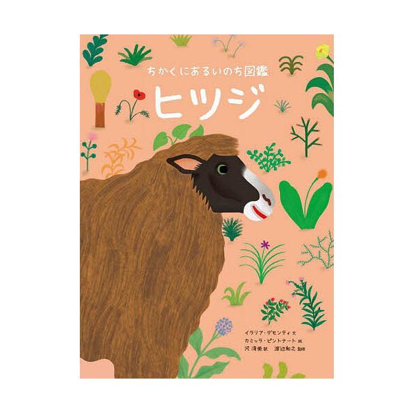 文:イラリア・デモンティ　絵:カミッラ・ピントナート　訳:河清美出版社:化学同人発売日:2025年09月シリーズ名等:ちかくにあるいのち図鑑キーワード:ヒツジイラリア・デモンティカミッラ・ピントナート河清美 ひつじちかくにあるいのちずかん ...