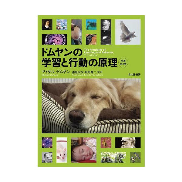 著:マイケル・ドムヤン　監訳:漆原宏次　監訳:坂野雄二出版社:北大路書房発売日:2022年10月キーワード:ドムヤンの学習と行動の原理マイケル・ドムヤン漆原宏次坂野雄二 どむやんのがくしゆうとこうどうのげんり ドムヤンノガクシユウトコウドウ...