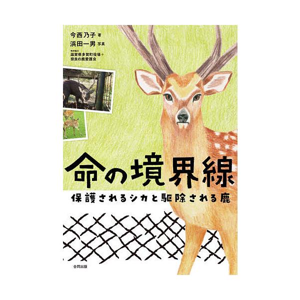 ※商品画像はイメージや仮デザインが含まれている場合があります。帯の有無など実際と異なる場合があります。著:今西乃子　写真:浜田一男出版社:合同出版発売日:2021年05月キーワード:命の境界線保護されるシカと駆除される鹿今西乃子浜田一男 プ...