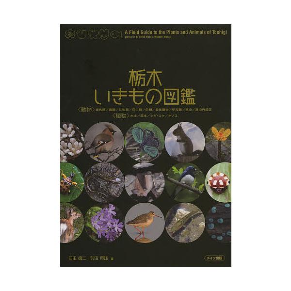 ※商品画像はイメージや仮デザインが含まれている場合があります。帯の有無など実際と異なる場合があります。著:前田信二　著:前田将誌出版社:メイツ出版発売日:2014年03月キーワード:栃木いきもの図鑑前田信二前田将誌 とちぎいきものずかん ト...