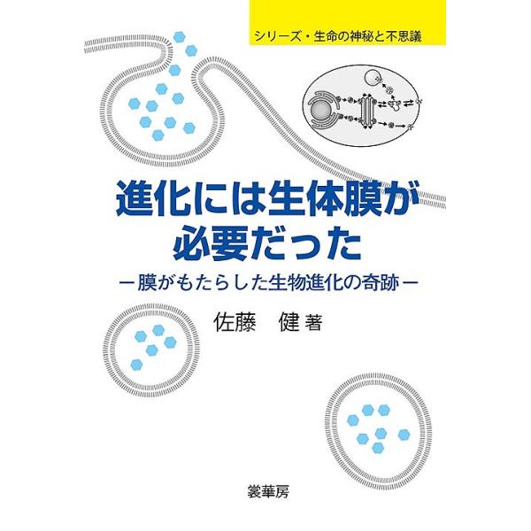 著:佐藤健出版社:裳華房発売日:2018年02月シリーズ名等:シリーズ・生命の神秘と不思議キーワード:進化には生体膜が必要だった膜がもたらした生物進化の奇跡佐藤健 しんかにわせいたいまくがひつようだつたまく シンカニワセイタイマクガヒツヨウ...