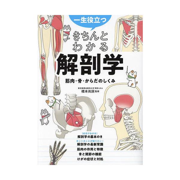 ※商品画像はイメージや仮デザインが含まれている場合があります。帯の有無など実際と異なる場合があります。監修:橋本尚詞出版社:西東社発売日:2024年06月キーワード:一生役立つきちんとわかる解剖学筋肉・骨・からだのしくみ橋本尚詞 いつしよう...