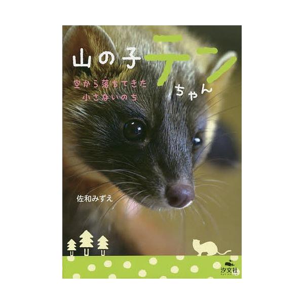 著:佐和みずえ出版社:汐文社発売日:2018年11月キーワード:山の子テンちゃん空から落ちてきた小さないのち佐和みずえ プレゼント ギフト 誕生日 子供 クリスマス 子ども こども やまのこてんちやんそらからおちて ヤマノコテンチヤンソラカ...