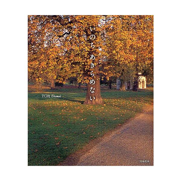 著:葉祥明出版社:日本標準発売日:2010年10月キーワード:いのちあきらめない葉祥明 いのちあきらめない イノチアキラメナイ よう しようめい ヨウ シヨウメイ