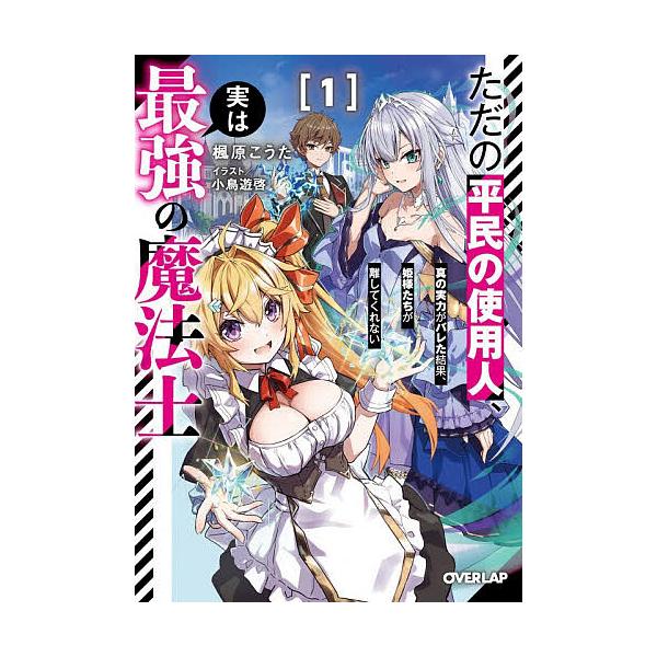 ※商品画像はイメージや仮デザインが含まれている場合があります。帯の有無など実際と異なる場合があります。著:楓原こうた出版社:オーバーラップ発売日:2026年02月25日シリーズ名等:オーバーラップ文庫 か−０８−０５キーワード:ただの平民の...