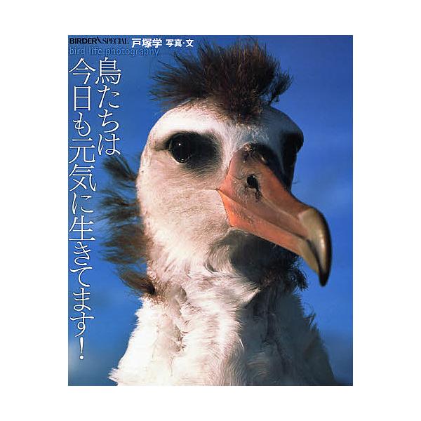 ※商品画像はイメージや仮デザインが含まれている場合があります。帯の有無など実際と異なる場合があります。著:戸塚学出版社:文一総合出版発売日:2008年07月シリーズ名等:BIRDER SPECIALキーワード:鳥たちは今日も元気に生きてます...