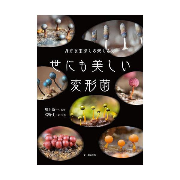 ※商品画像はイメージや仮デザインが含まれている場合があります。帯の有無など実際と異なる場合があります。文:高野丈　監修:・写真川上新一出版社:文一総合出版発売日:2022年10月キーワード:世にも美しい変形菌身近な宝探しの楽しみ方高野丈・写...