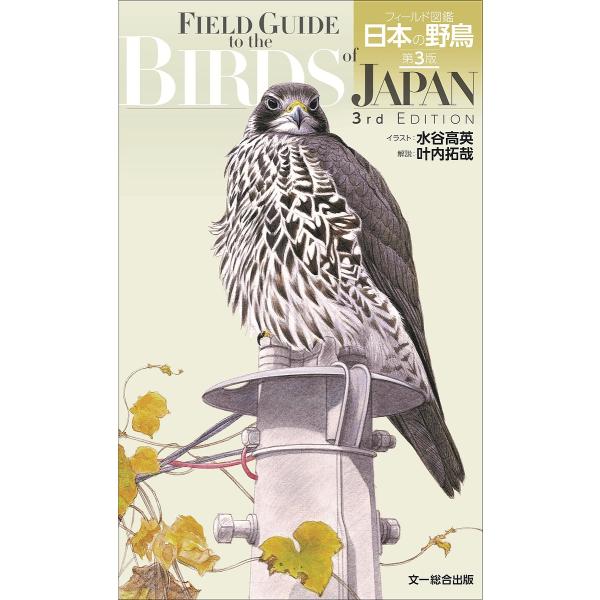 ※商品画像はイメージや仮デザインが含まれている場合があります。帯の有無など実際と異なる場合があります。イラスト:水谷高英　解説:叶内拓哉出版社:文一総合出版発売日:2025年06月キーワード:フィールド図鑑日本の野鳥水谷高英叶内拓哉 ふいー...