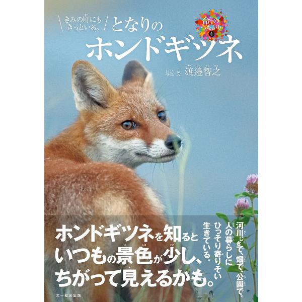 ※商品画像はイメージや仮デザインが含まれている場合があります。帯の有無など実際と異なる場合があります。写真:渡邉智之出版社:文一総合出版発売日:2022年07月シリーズ名等:命のつながり ４キーワード:となりのホンドギツネきみの町にもきっと...