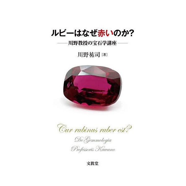 ※商品画像はイメージや仮デザインが含まれている場合があります。帯の有無など実際と異なる場合があります。著:川野祐司出版社:文眞堂発売日:2025年12月キーワード:ルビーはなぜ赤いのか？川野教授の宝石学講座川野祐司 るびーわなぜあかいのかか...