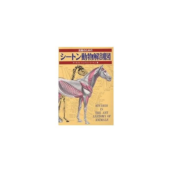 ※商品画像はイメージや仮デザインが含まれている場合があります。帯の有無など実際と異なる場合があります。著:アーネスト・トンプソン・シートン　訳:上野安子出版社:マール社発売日:1997年06月キーワード:美術のためのシートン動物解剖図アーネ...