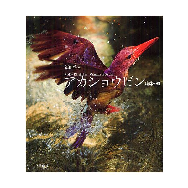 ※商品画像はイメージや仮デザインが含まれている場合があります。帯の有無など実際と異なる場合があります。写真:福田啓人出版社:雷鳥社発売日:2012年07月キーワード:アカショウビン琉球の紅福田啓人 あかしようびんりゆうきゆうのくれない アカ...