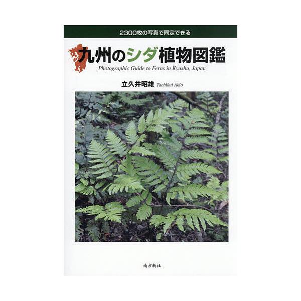 ※商品画像はイメージや仮デザインが含まれている場合があります。帯の有無など実際と異なる場合があります。著:立久井昭雄出版社:南方新社発売日:2026年06月キーワード:九州のシダ植物図鑑２３００枚の写真で同定できる立久井昭雄 きゆうしゆうの...