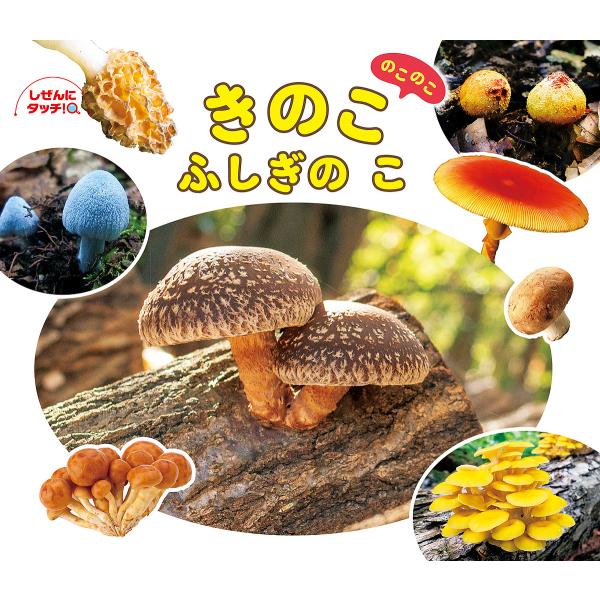 ※商品画像はイメージや仮デザインが含まれている場合があります。帯の有無など実際と異なる場合があります。出版社:ひさかたチャイルド発売日:2021年08月シリーズ名等:しぜんにタッチ！キーワード:きのこのこのこふしぎのこ えほん 絵本 プレゼ...